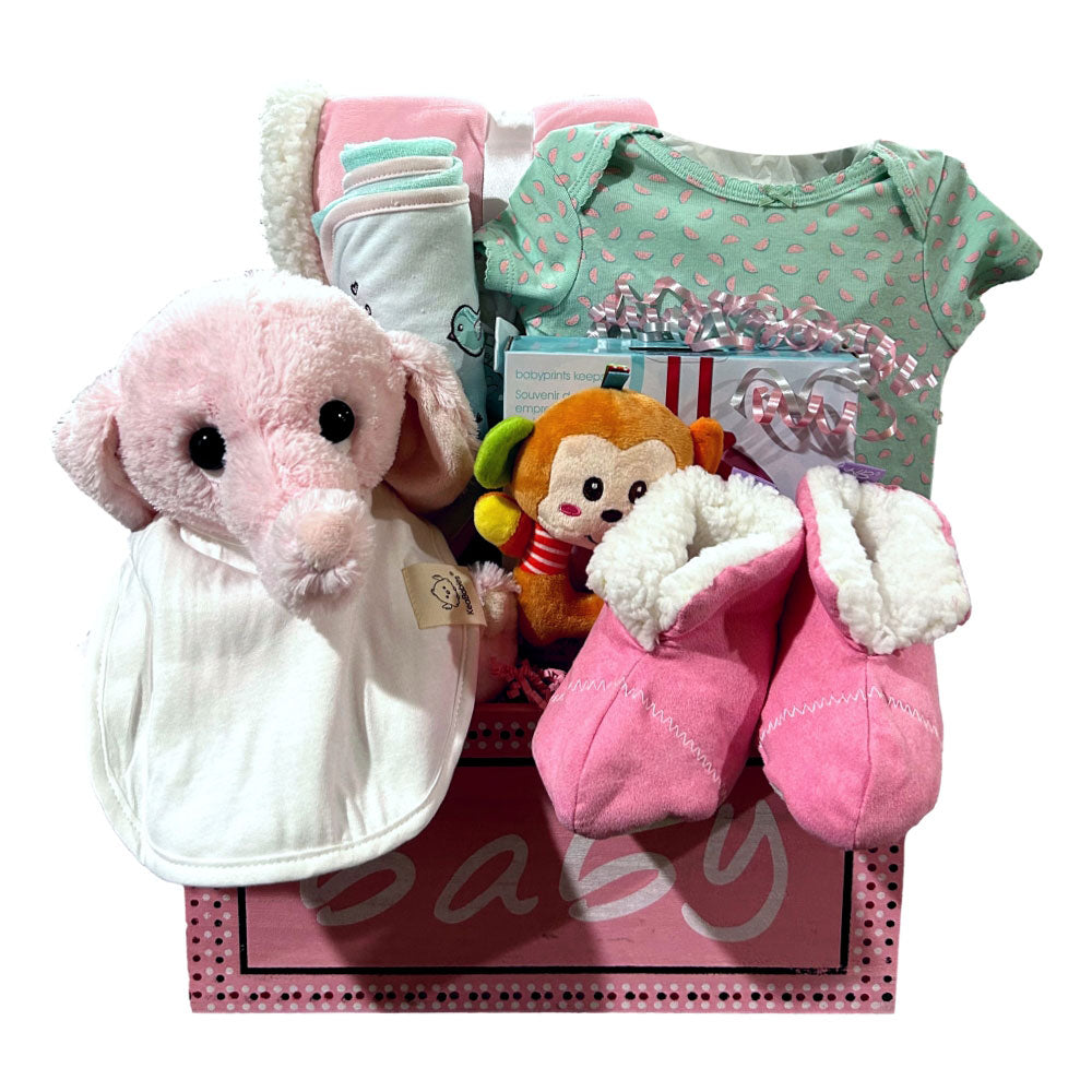 Baby Gift Basket - Baby Girl Baskets – Stork Baby Gift Baskets, LLC